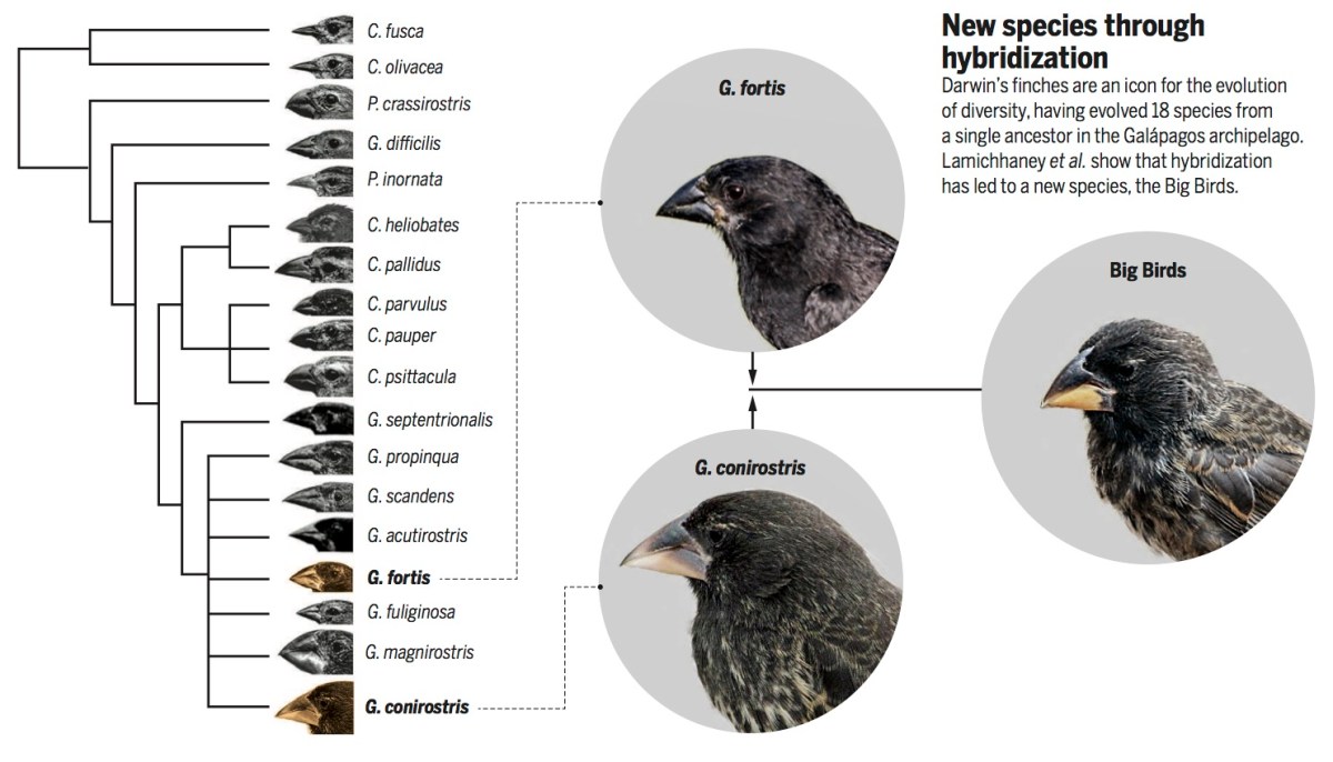 Science Perspective | Wagner Lab