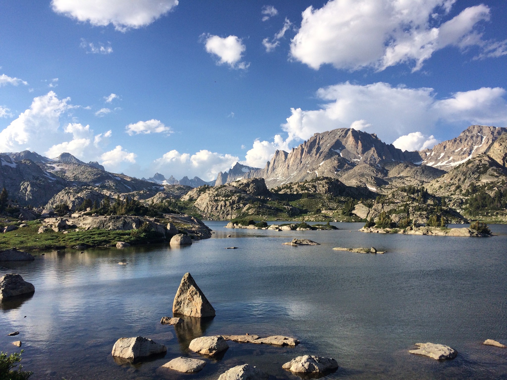 MSc student wanted for a new project on salmonid evolution in alpine ...